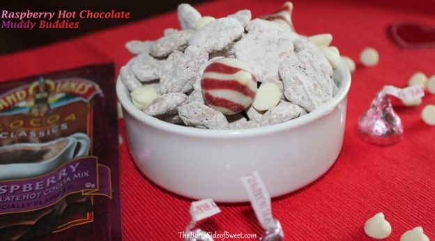 40+ Chocolate Raspberry Recipes - The Bitter Side of Sweet