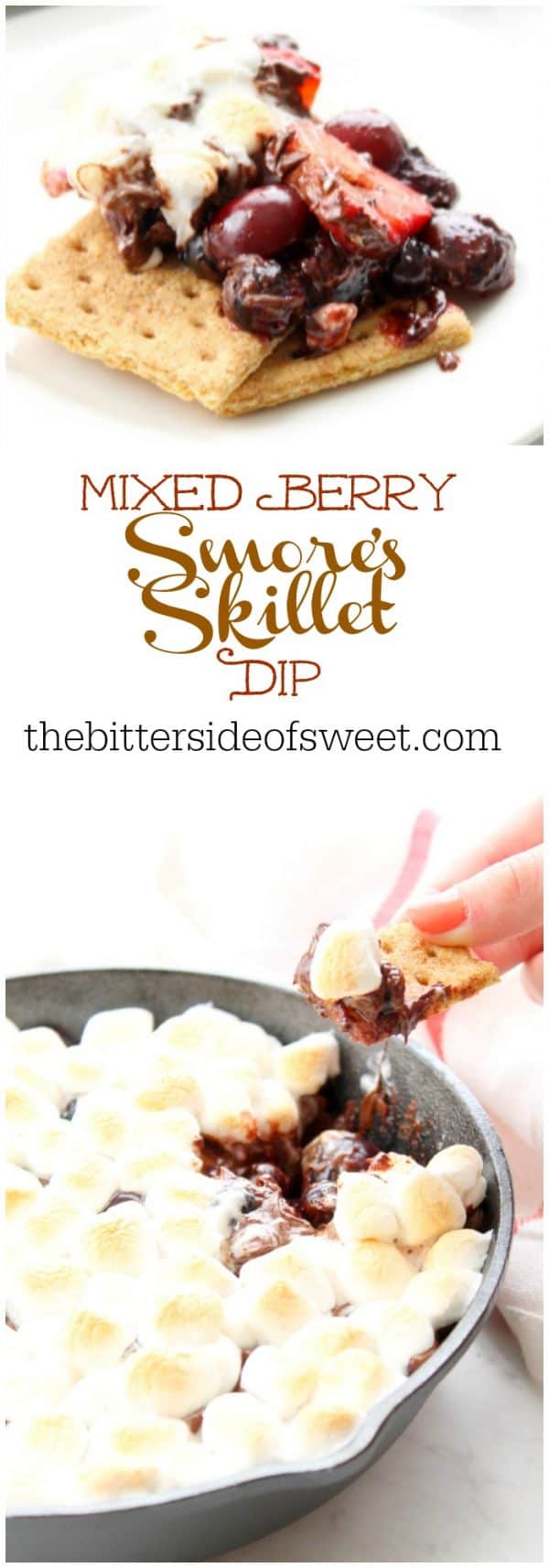 Mixed Berry Smores Skillet Dip - The Bitter Side of Sweet