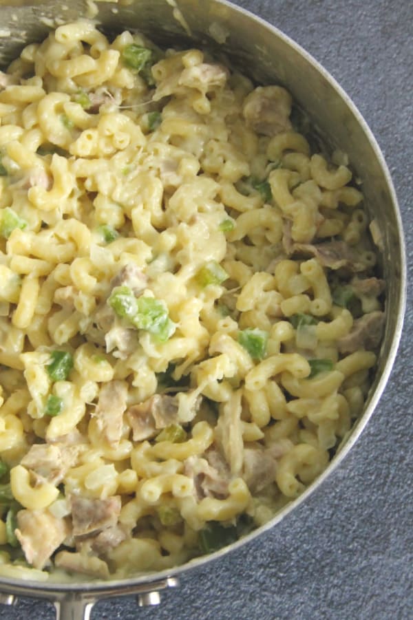 Leftover Turkey Pasta - The Bitter Side of Sweet